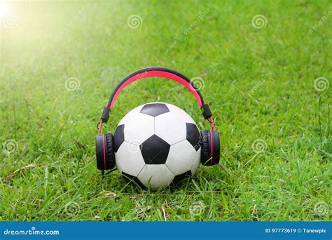 Música Engraçada Do Futebol No Fundo Da Grama Verde Imagem de Stock Imagem de esfera popular