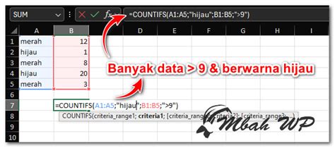 Cara Menggunakan Fungsi COUNT SUM Di Excel