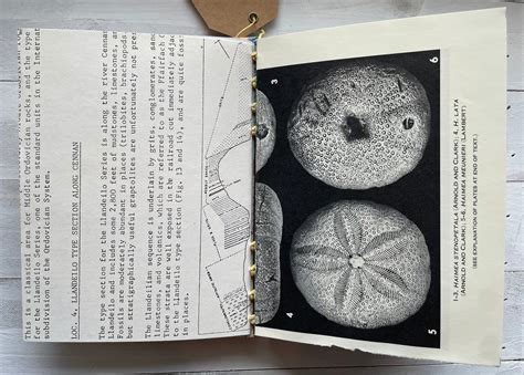 Vintage Geologic Map Handmade Field Journal Coptic Bound Notebook Etsy