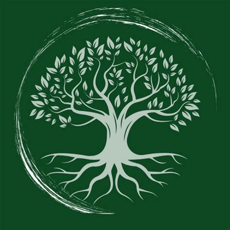 Metavision Institute Youtube