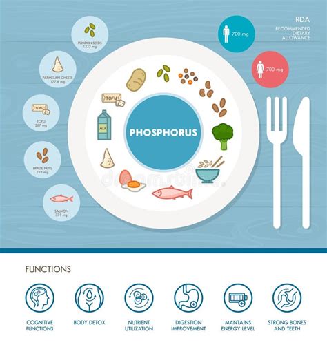 Vitamins And Minerals Stock Vector Illustration Of Health 71554551