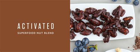 Living Intentions Activated Superfood Nut Blend Dark Cacao 4oz Terra