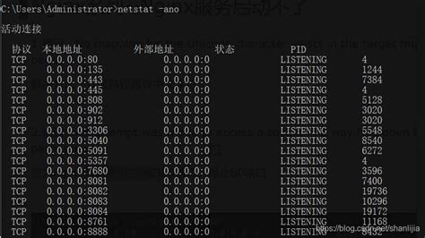 Nginx启动不了原因解决端口占用nginx脚本之家