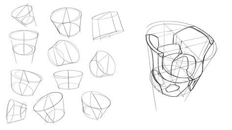 Proko Pelvis Assignment