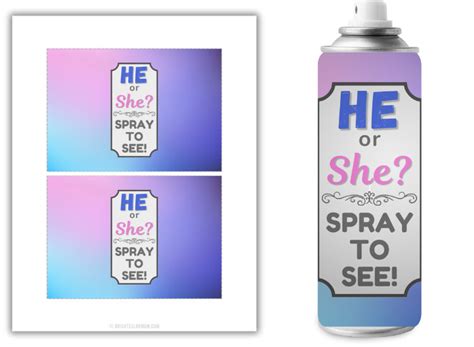 27 Creative Gender Reveal Ideas To Surprise Your Guests