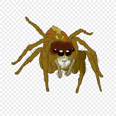 거미 Png 일러스트 무료 다운로드 Lovepik