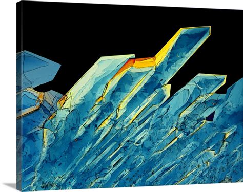 Insulin Crystals Light Micrograph Great Big Canvas