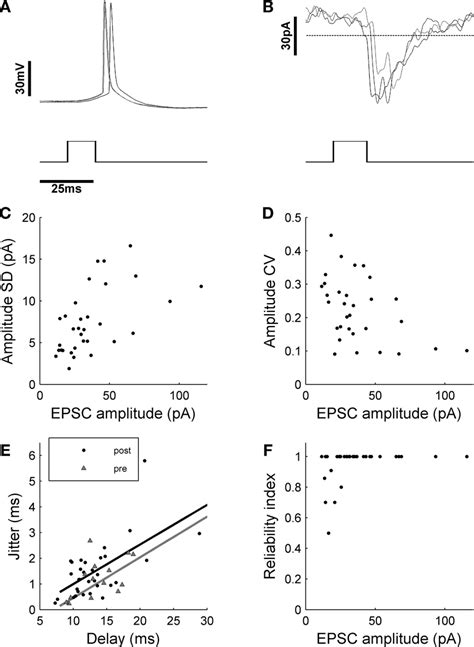 Quantification Of Synaptic Variability A Single Shot Stimulation Of Download Scientific