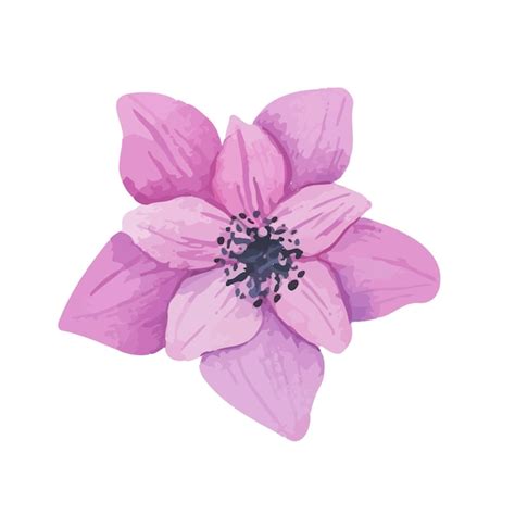 Conjunto De Hermosas Flores Dibujadas A Mano En Estilo Retro Vector