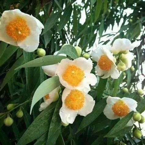 ကံ႔ေကာ္ဖူး ရင္တြင္းခံစားမွဳစာစုမ်ား Home Facebook