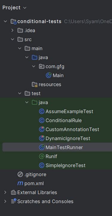 Junit 4 Conditional Test Execution And Ignoring Strategies