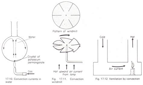 Convection Currents In Water