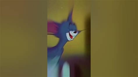 Logo Ka Kaam Hai Jalna Aur Hamara Jalana Masti Youtube