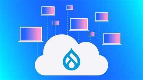 Drupal Hosting Solutions Acquia Vs On Premise Bounteous