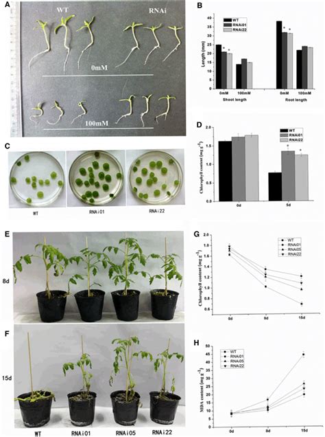 Salt Tolerance Of Wt And Transgenic Plants A The Growth Performance Of