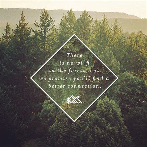 Pin By Shelley Musleh On Adventure Nature Quotes Quotes