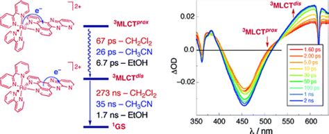 Ultrafast Dynamics Of The Low Lying3mlct States Of [ru Bpy 2 Dppp2 ]2