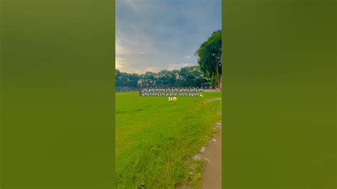 গোলাপের থেকে সুন্দর তুমি 🌷 Roselove Youtube