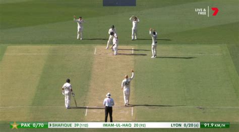 Confusion Erupts As Pakistan Opener Abdullah Shafique Survives Rare