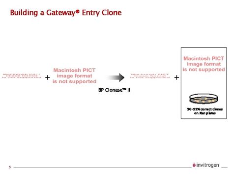 The Gateway Cloning System Introduction To The Gateway