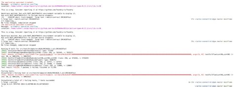 Foundry Crashes With `arithmetic Operation Overflow` · Issue 3596