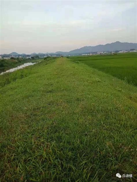 王新明散文 家鄉看日出 每日頭條