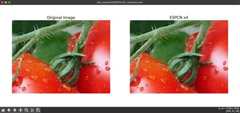PythonOpenCV超解像で画像を鮮明に dnn superres codevace