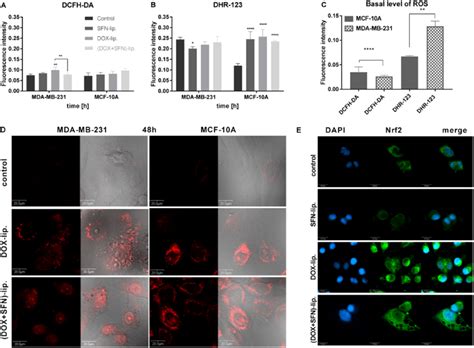 Effect Of Sfn Incorporation Into Dox Loaded Liposomes On The