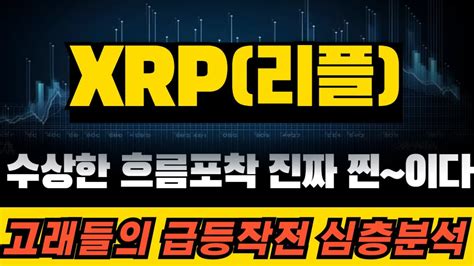 Xrp엑스알피 수상한 흐름포착 진짜 찐이다 고래들의 급등작전 심층분석 엑스알피 Xrp 엑스알피분석 리플 리플분석 Xrp분석 엑스알피심훈 심훈엑스알피