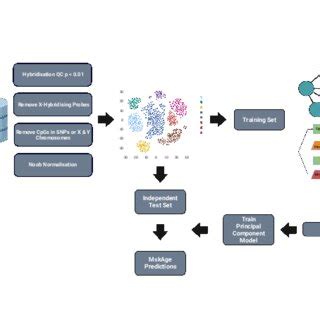 Workflow Schematic Schematic Of Analysis Workflow For The Development