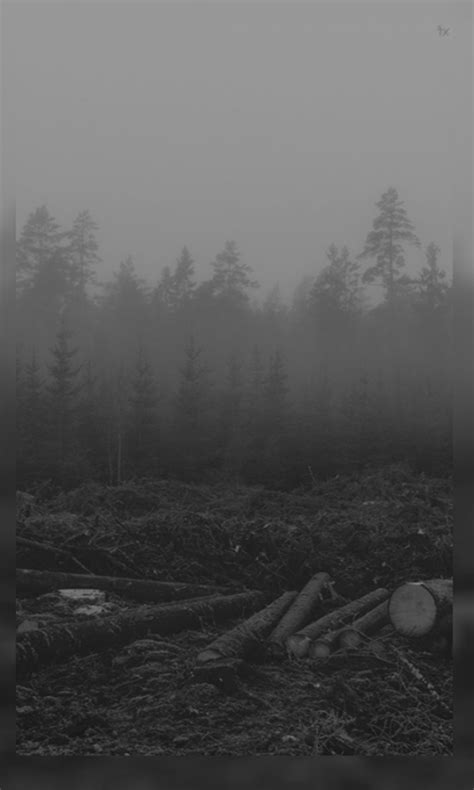 Android Wallpaper Black And White