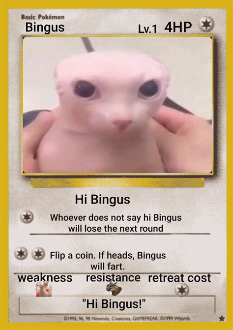 Bingus Pokemon Card Bingus Know Your Meme