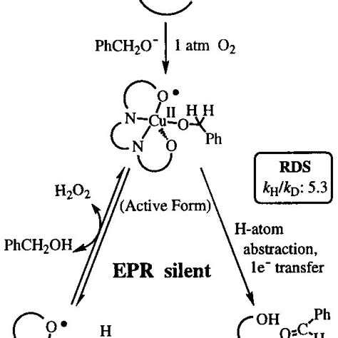 Proposed Catalytic Cycle For Model Complex Cubsp Download