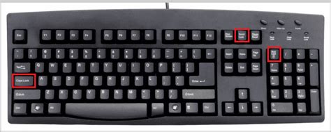 How Many Types Of Keys On A Computer Keyboard TechCult