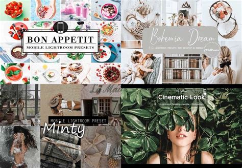 Slr Anon Lightroom Preset System V6 Lightroom Lightroom Presets Presets