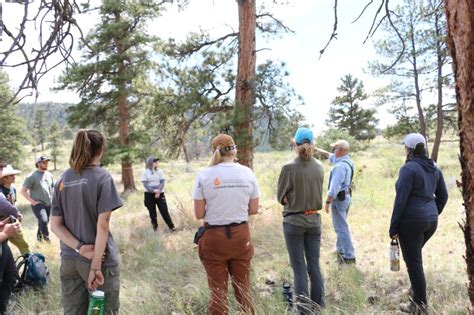 Warner College Of Natural Resources On Linkedin Centers Of Warner Meet The Colorado Forest