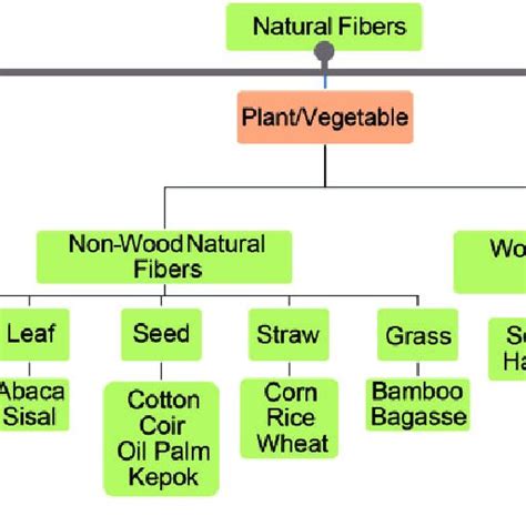 Classification Of Natural Fiber Download Scientific Diagram