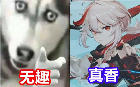游原甚香记 丰兄来了 丰兄来了 哔哩哔哩视频