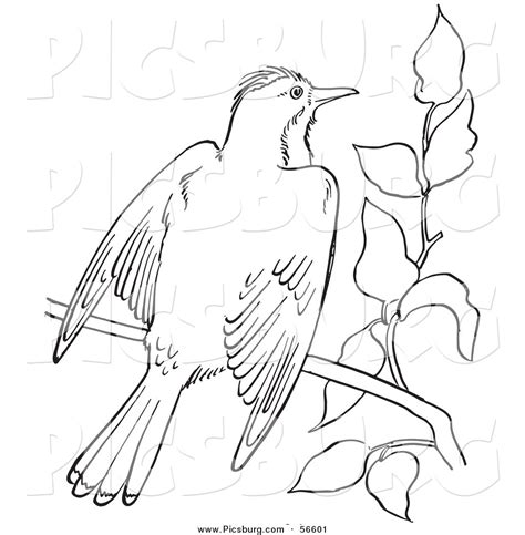 Black And White Birds On Tree Clipart 20 Free Cliparts Download