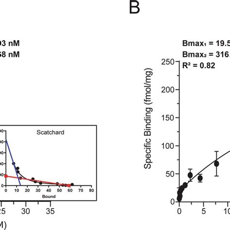 ³h Bu99008 Saturation Binding Assay ³h Bu99008 Saturation Binding