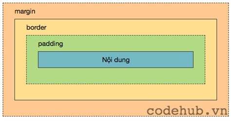 Phân Biệt Padding Và Margin Trong Css