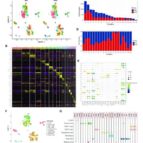 Single Cell Atlas Of Msi And Mss Crc Patients In The Scrna Validation