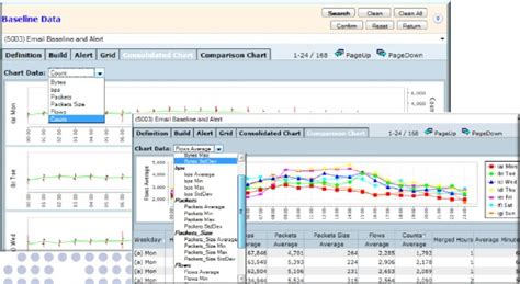 netflow auditor behavior anomaly detection