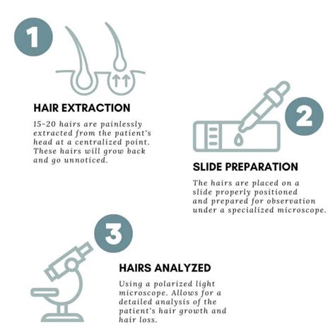 Hair Microscopy Jeffrey Pauls Hair And Scalp Specialists