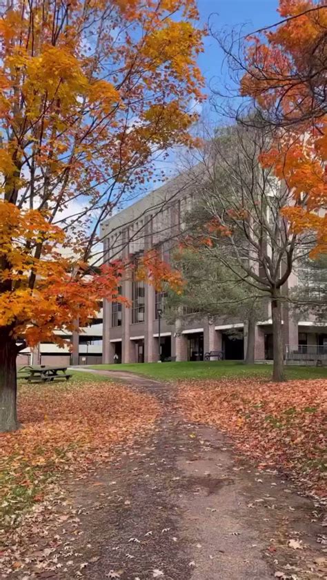 Carleton University On Twitter Fall Is A Great Time To Take In The