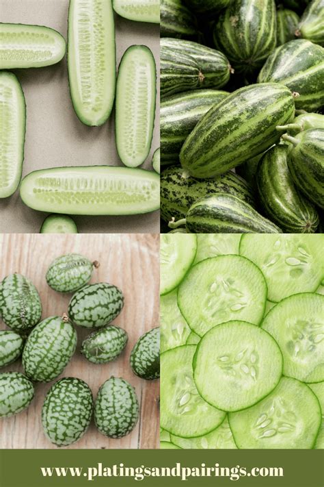 Vining Cucumber Varieties I Am Always Amazed At The Different Varieties