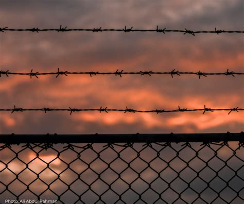 Asylum Backlog Almost Doubles As Researchers Warn Illegal Migration Act