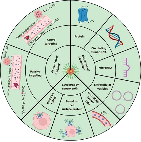 nanotechnology for colorectal cancer detection and treatment