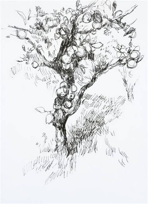 Apple Tree Drawing By Antonia Rusu Saatchi Art Landscape Drawings Apple Tree Drawing