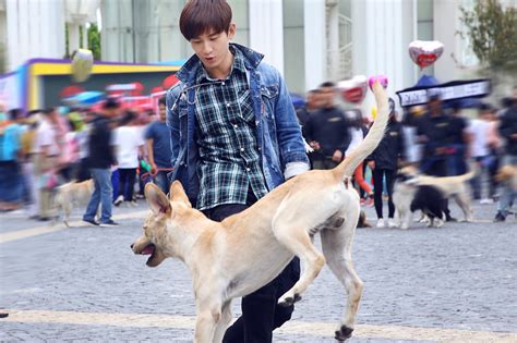 《营救汪星人》探班 成毅化身超级训犬师